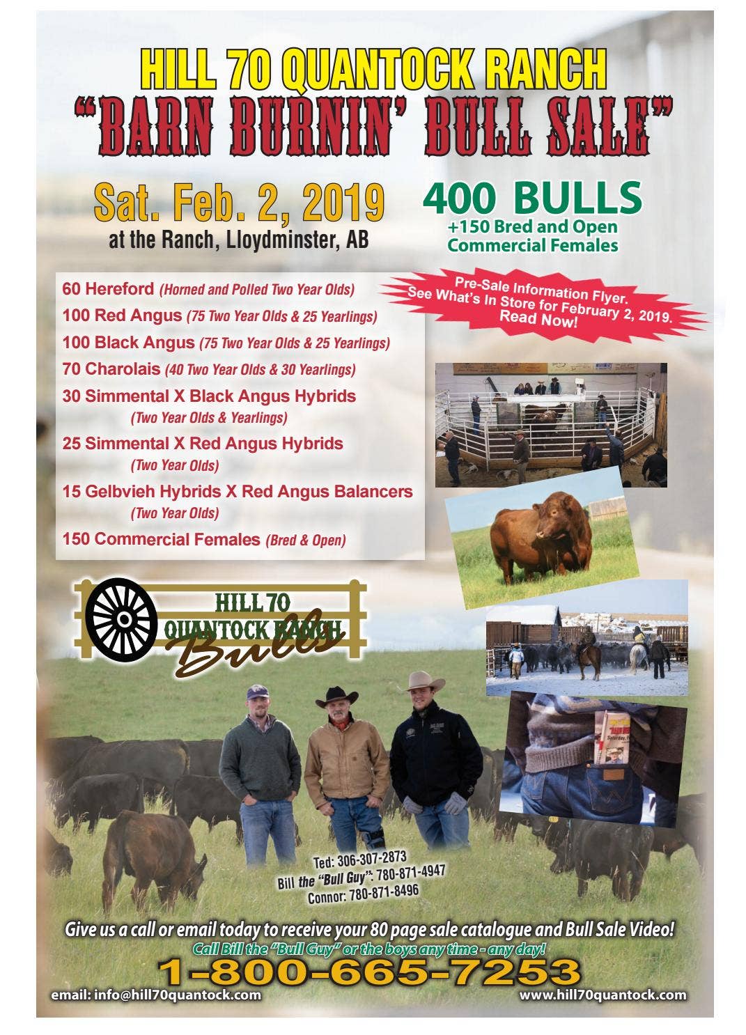 Hill 70 2019 Bull Sale Flyer by Today's Publishing Inc. - Issuu