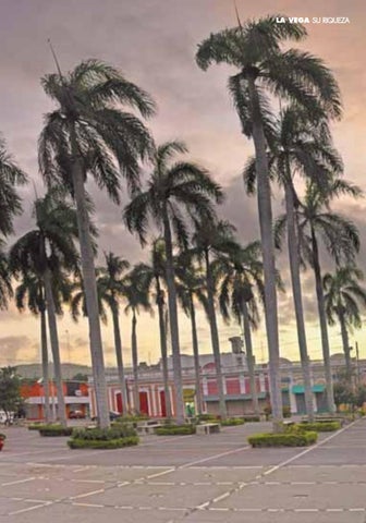 Guía Ecoturística y Cultural - La Vega by Centro Cuesta Nacional - Issuu