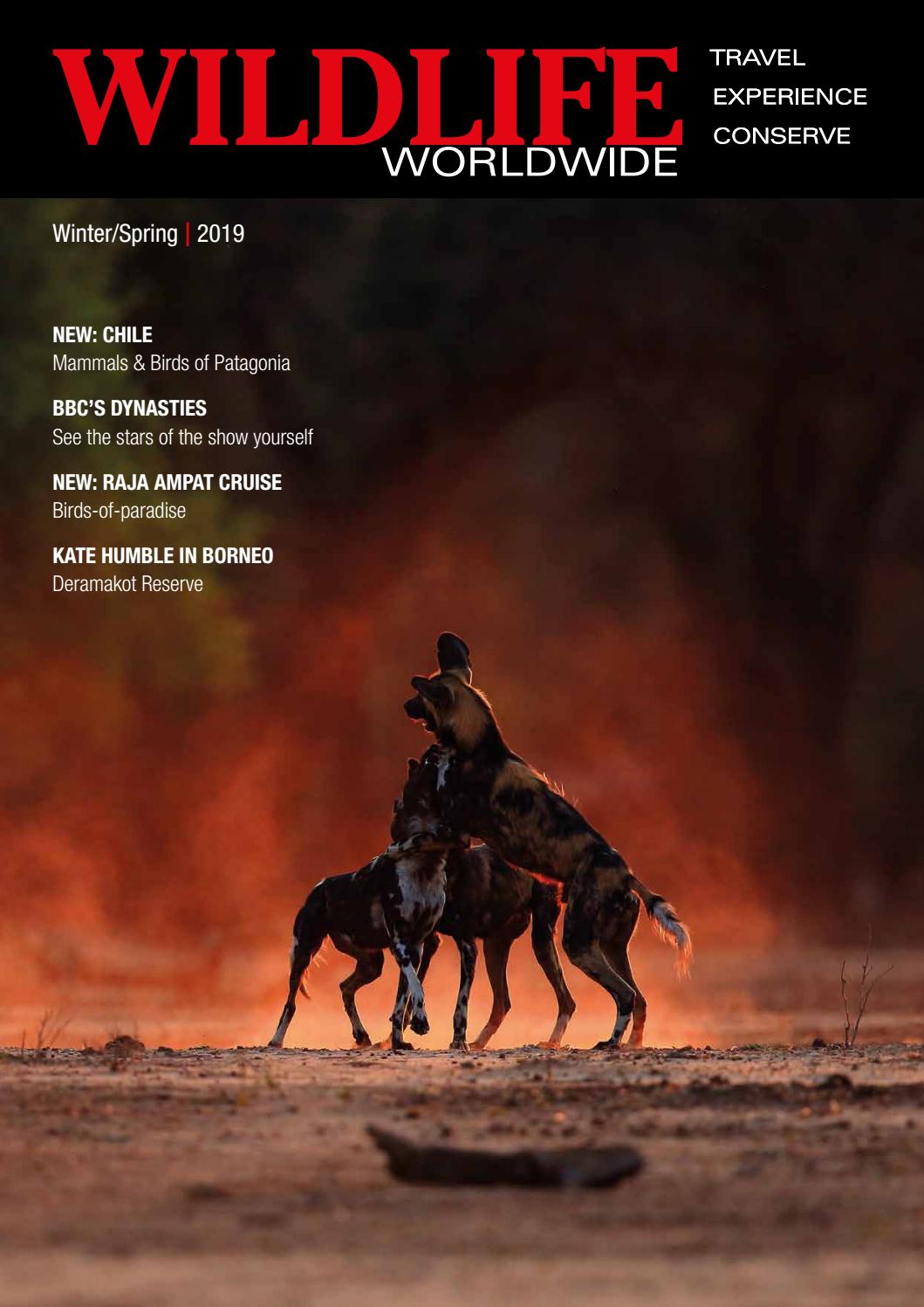 Wildlife Worldwide Brochure - Spring 2019 by The Natural Travel ...