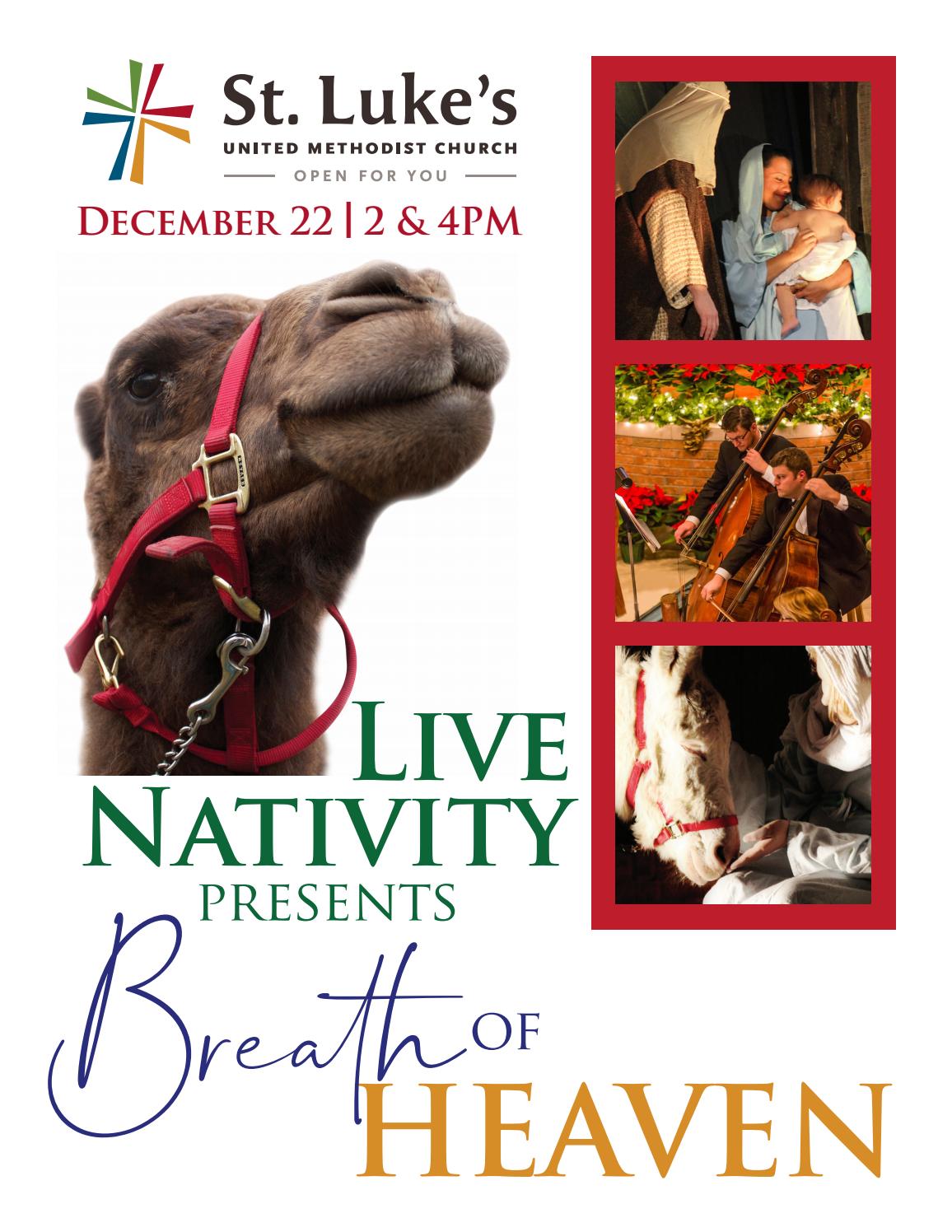 Live Nativity program_December 22, 2018 by St. Luke's UMC - Issuu