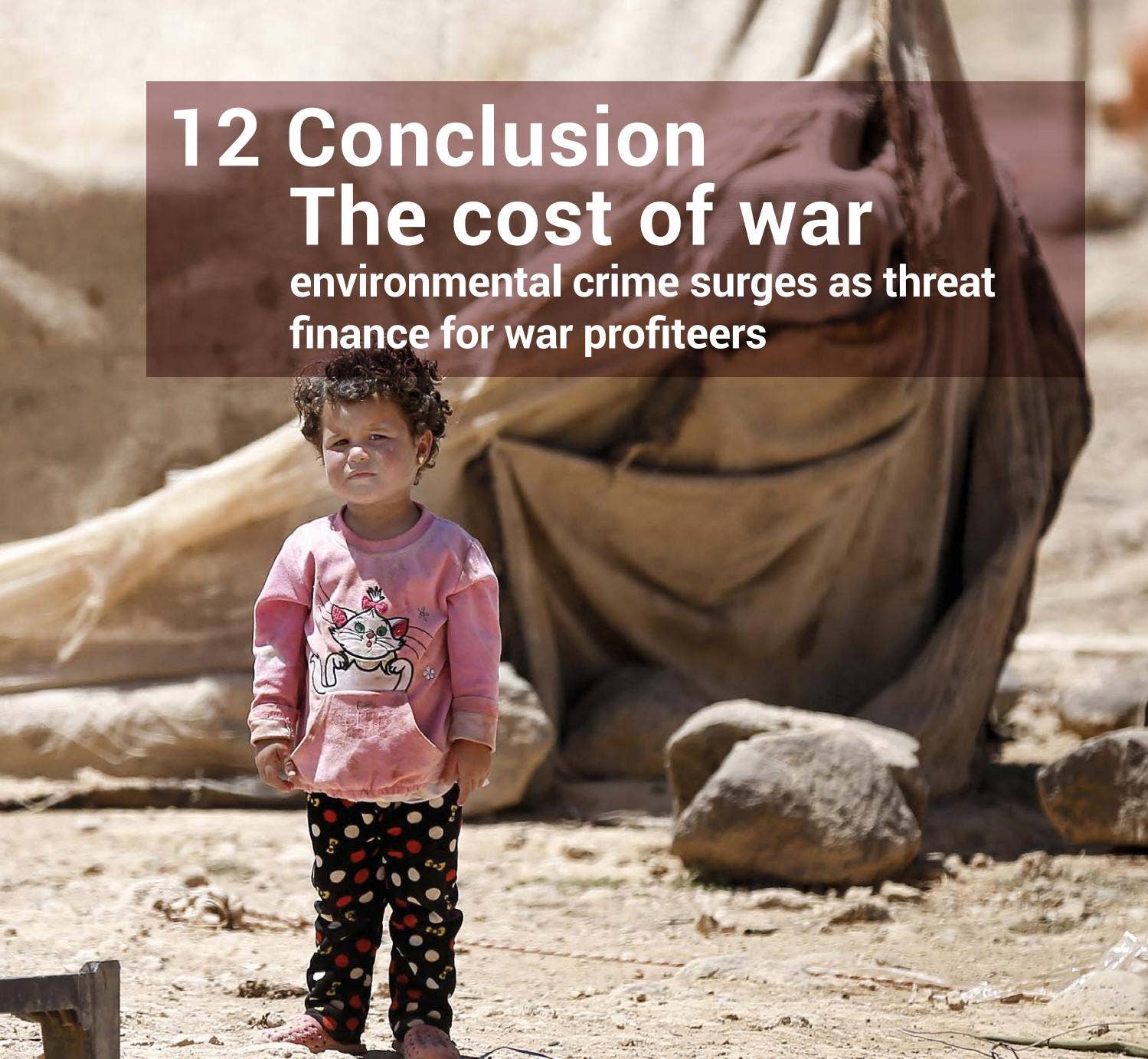 World Atlas of Illicit Flows by Zoï Environment Network - Issuu