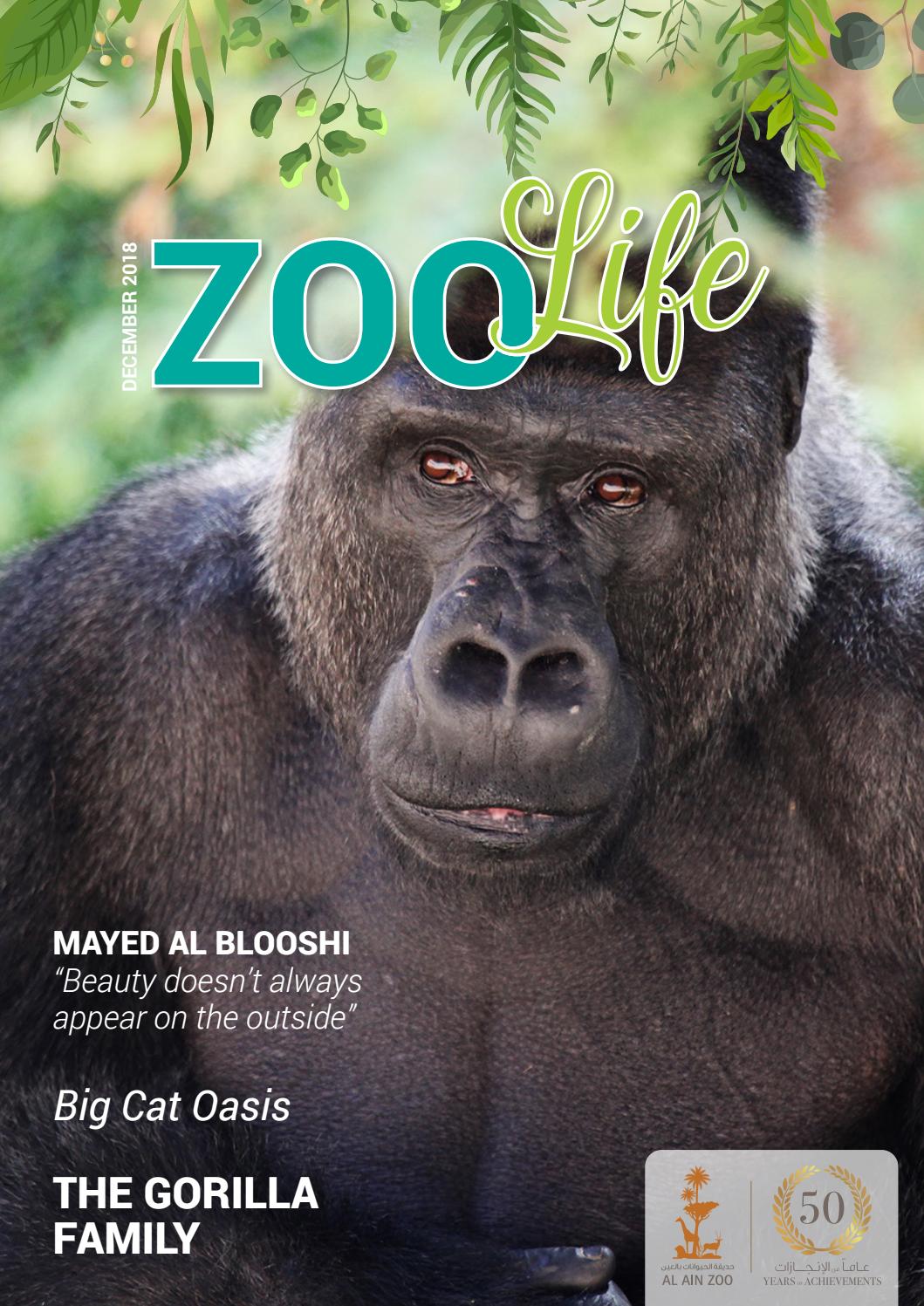 Zoolife December edition - Insights from Al Ain Zoo by Al Ain Zoo - Issuu