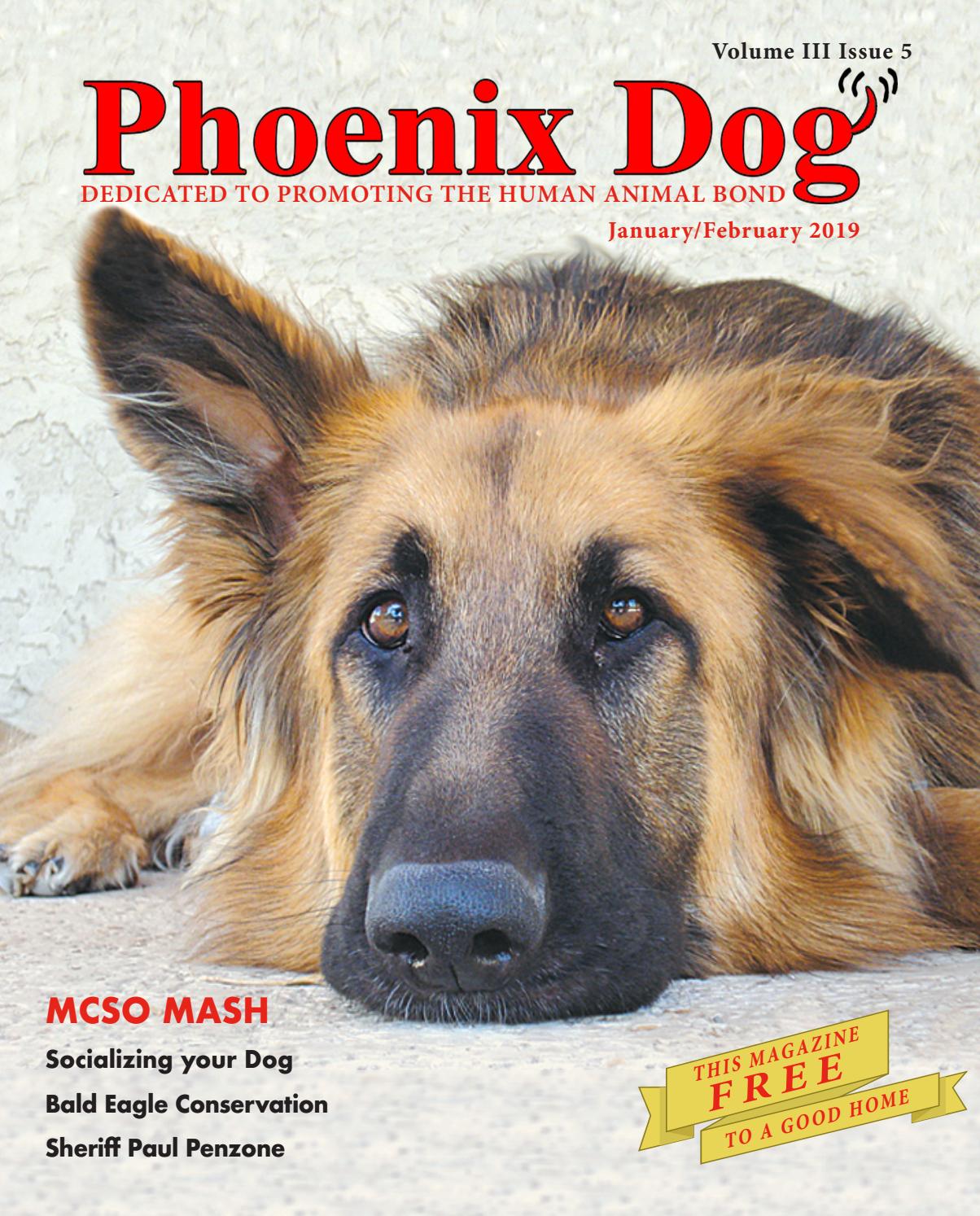 Phoenix Dog Magazine Jan/Feb 2019 Issue by Phoenix Dog Magazine - Issuu