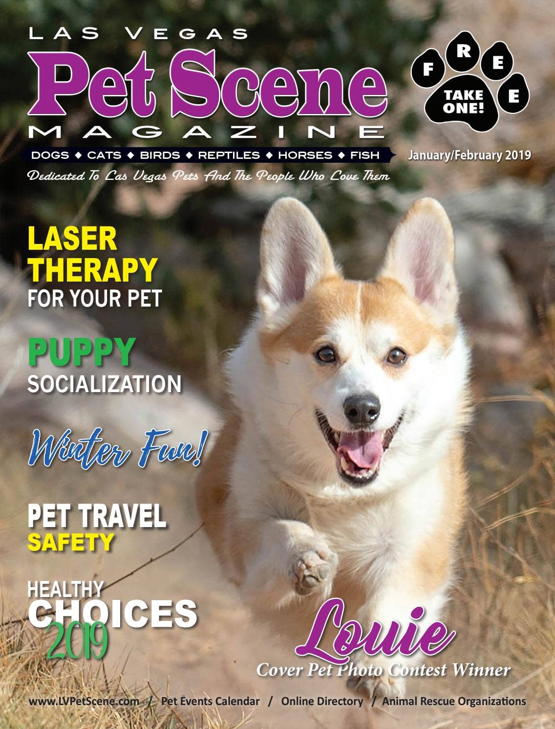 Las Vegas Pet Scene Magazine, January/February 2019 by Homes ...