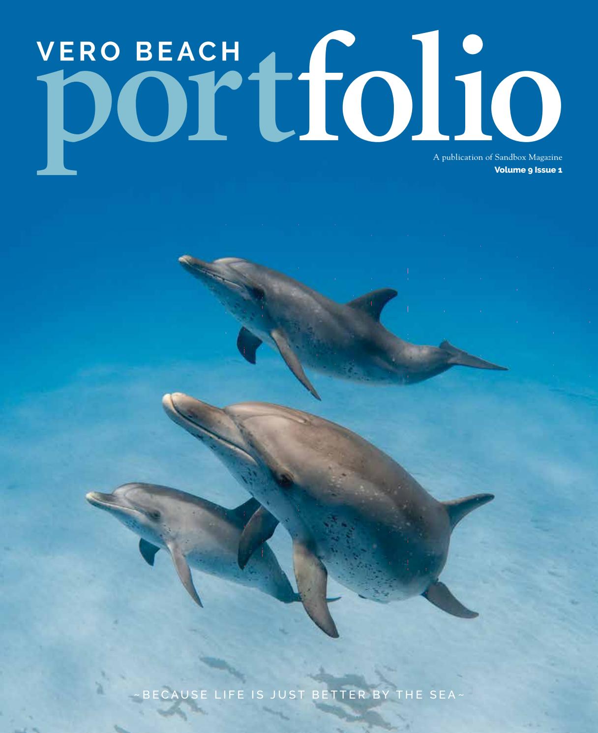 The Blue Issue- Dolphin Delight by Vero Beach Portfolio Magazine - Issuu