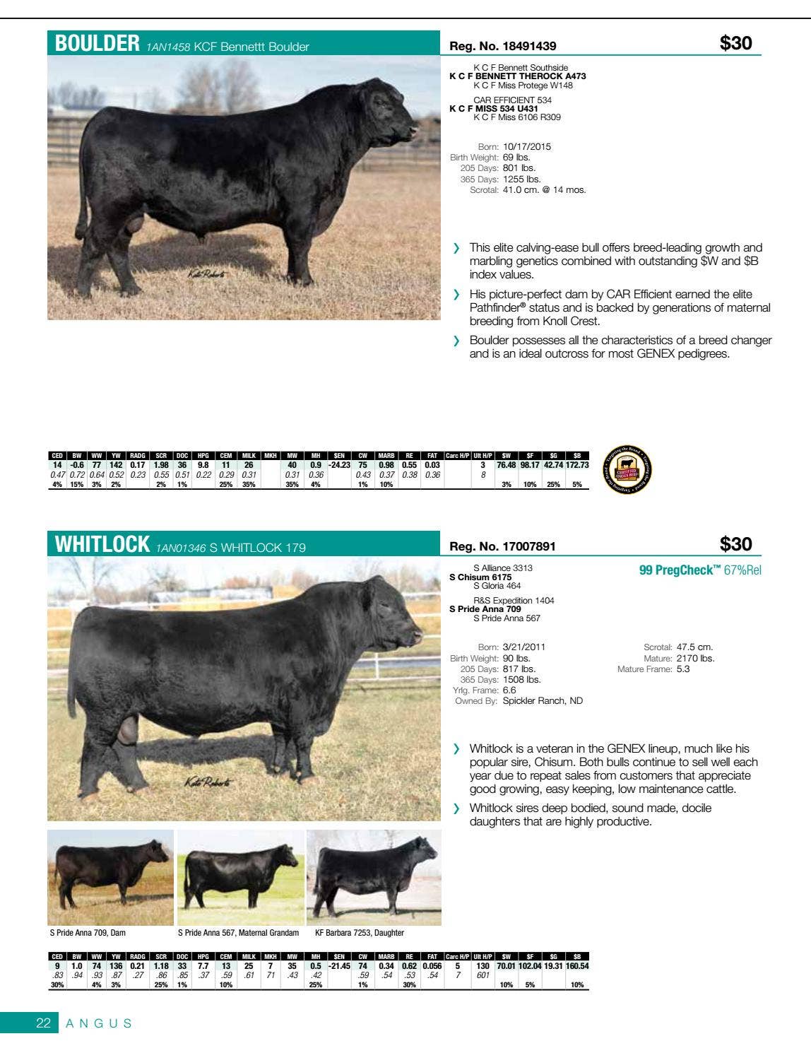 Beef Genetic Management Guide 2019 by GENEX - Issuu