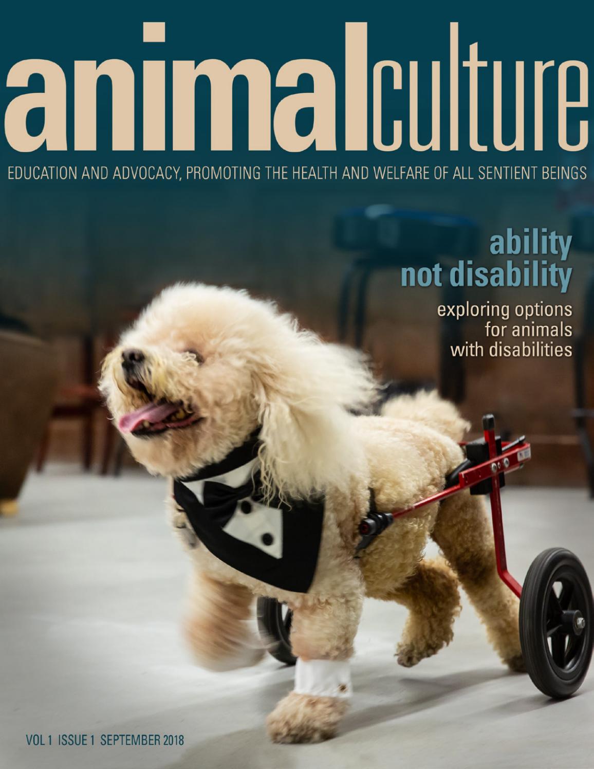 Animal Culture Magazine by Animal Culture - Issuu