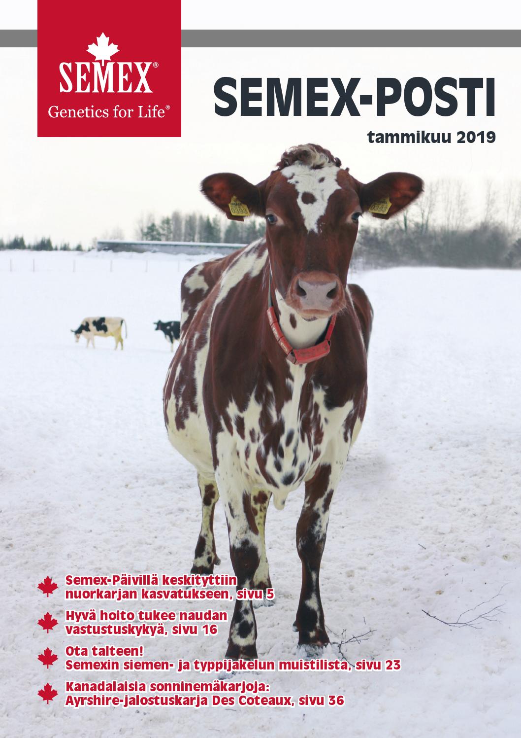 Semex Posti tammikuu 2019 by semexfinland - Issuu