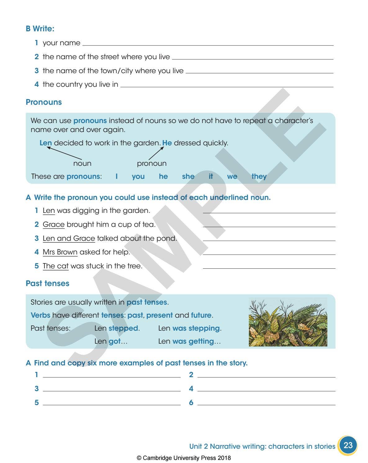 Cambridge Grammar & Writing Skills Learner's Book 1 by Cambridge ...