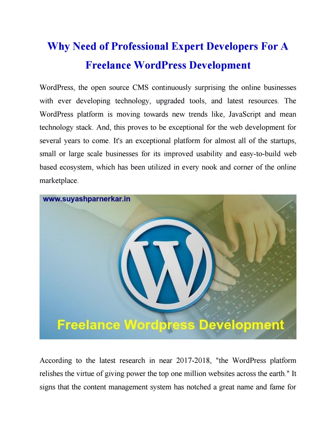 Why Need of Professional Expert Developers For A Freelance WordPress ...