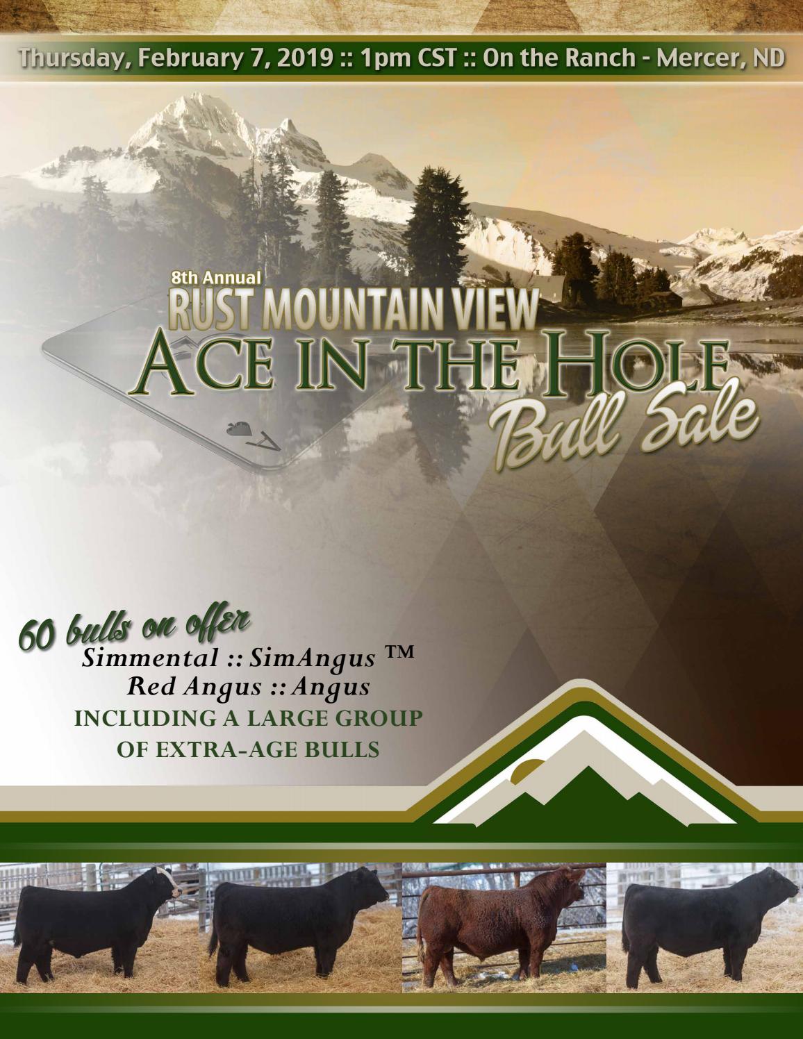 8th Annual Rust Mountain View Ranch "Ace In The Hole" Bull Sale by ...