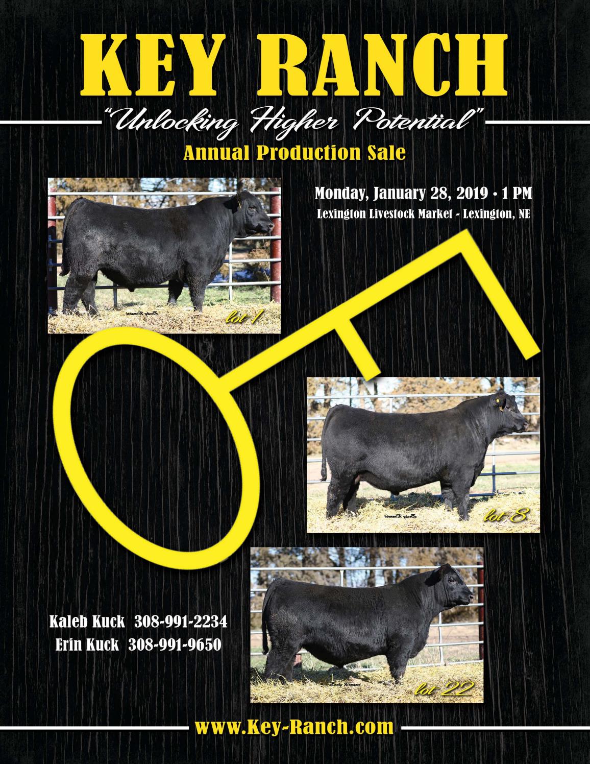 KEY Ranch "Unlocking Higher Potential" Annual Production Sale by ...
