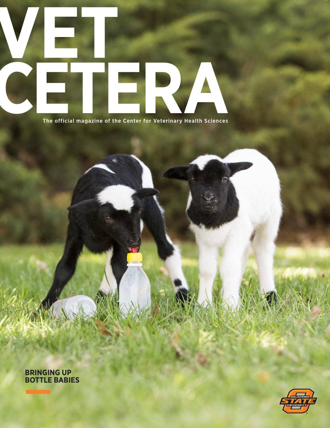 Vet Cetera 2018 by Oklahoma State - Issuu