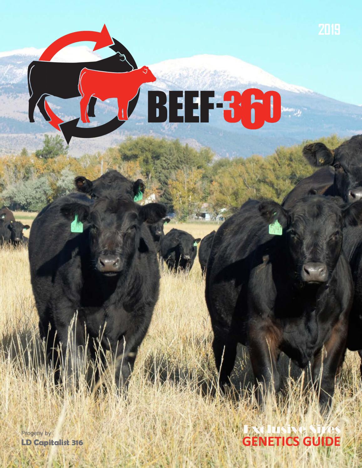 Beef 360 - 2019 Genetics Guide by LivestockDirect - Issuu