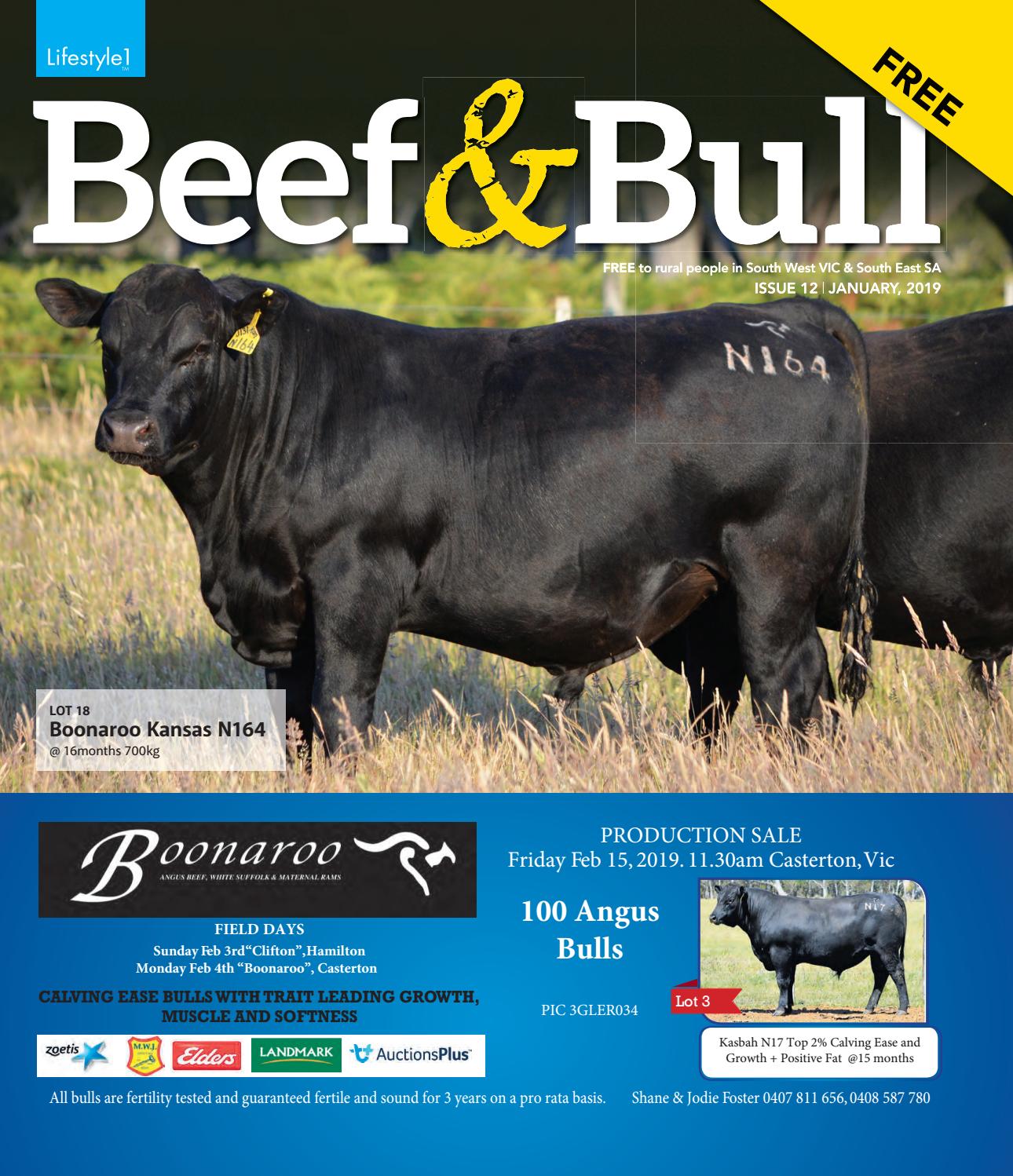 Beef & Bull Magazine Issue 12 by Crocmedia Lifestyle1 - Issuu