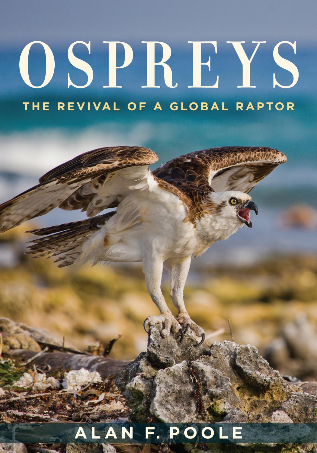 OSPREYS from Johns Hopkins University Press by JHUP Books - Issuu