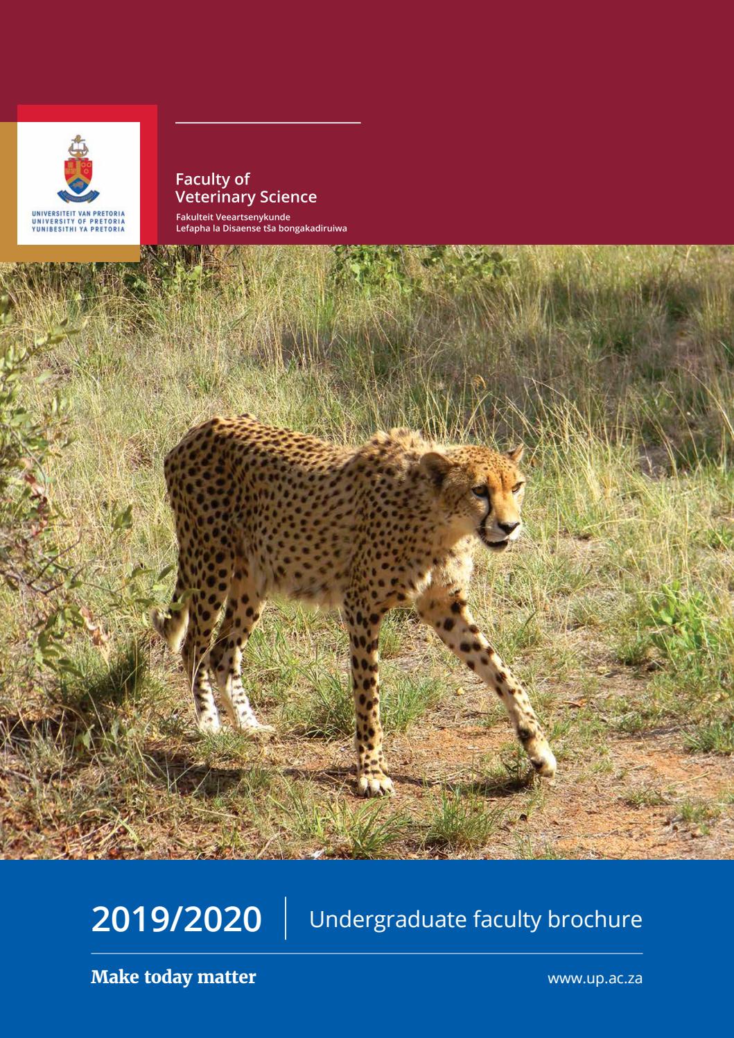 Faculty of Veterinary Science by University of Pretoria - Issuu