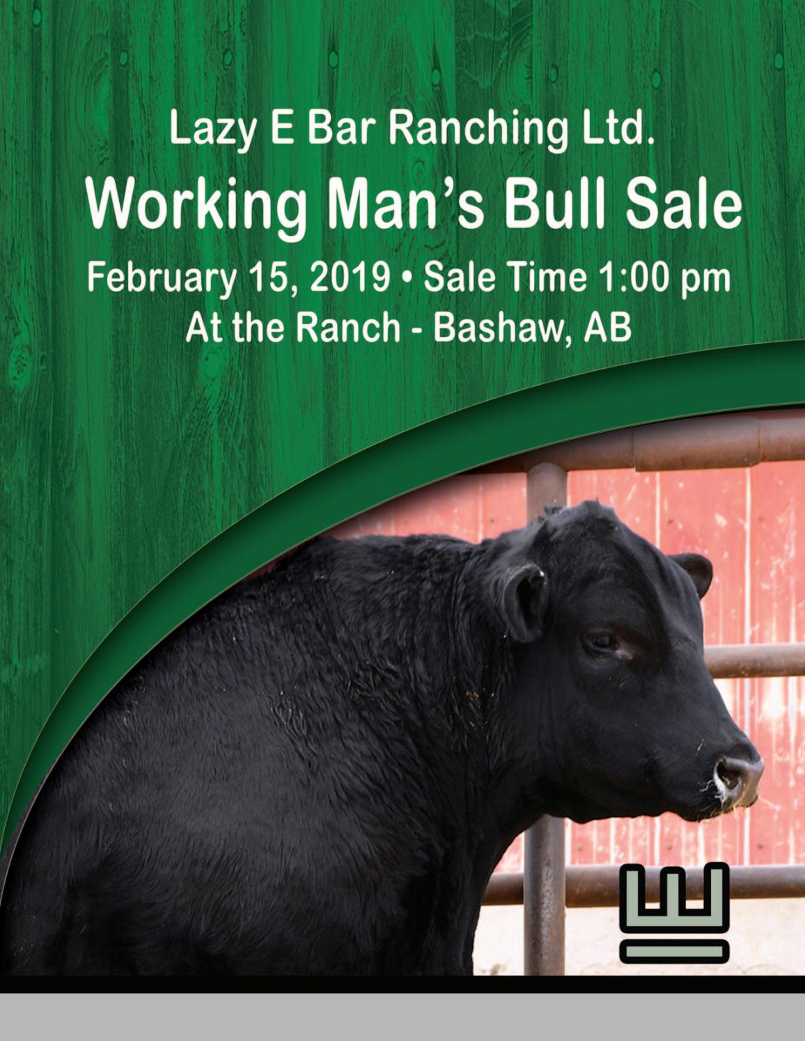 Lazy E Bar Ranching Ltd. 2019 Working Man's Bull Sale by Today's ...