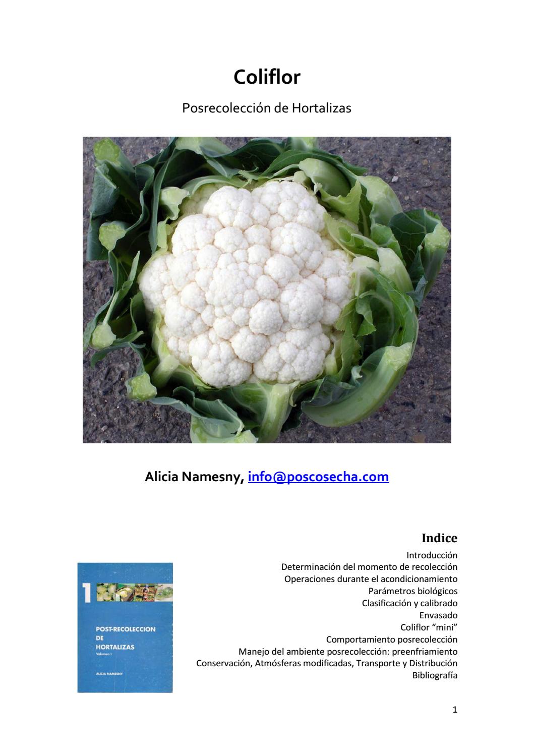 Coliflor. Posrecolección de Hortalizas by Horticultura & Poscosecha - Issuu