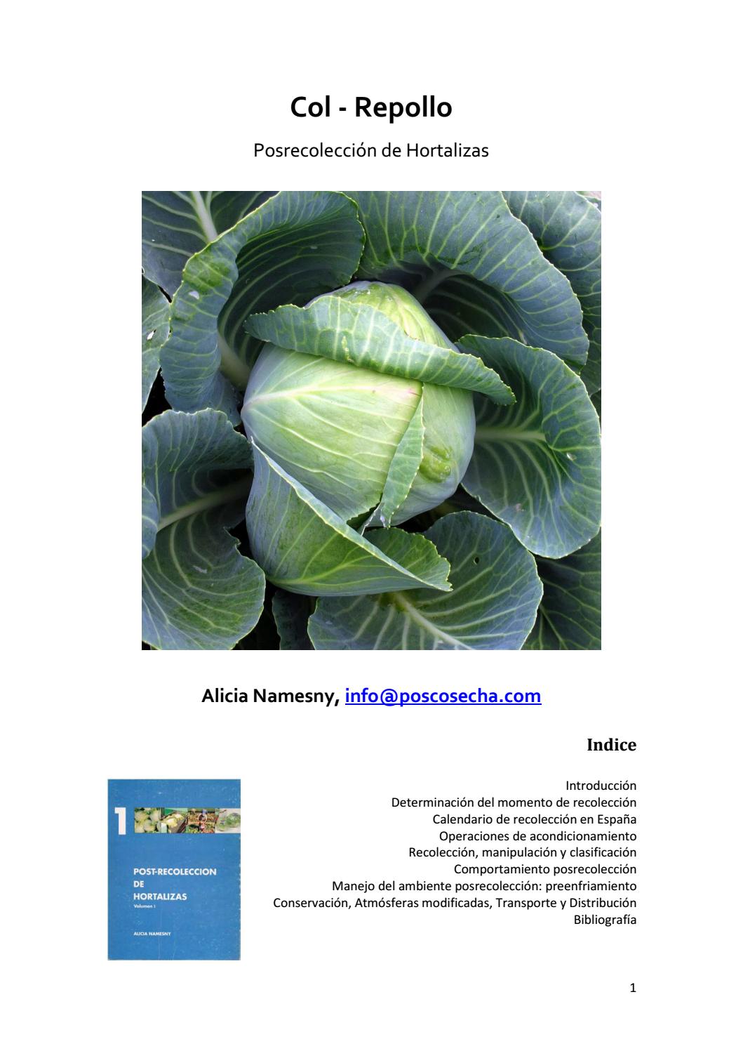 Col-Repollo. Posrecolección de hortalizas by Horticultura & Poscosecha ...