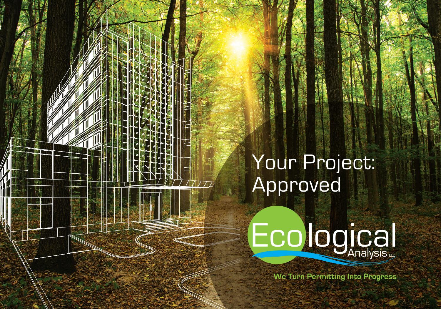Ecological Analysis: Your Project Approved by Anne Atchison - Issuu