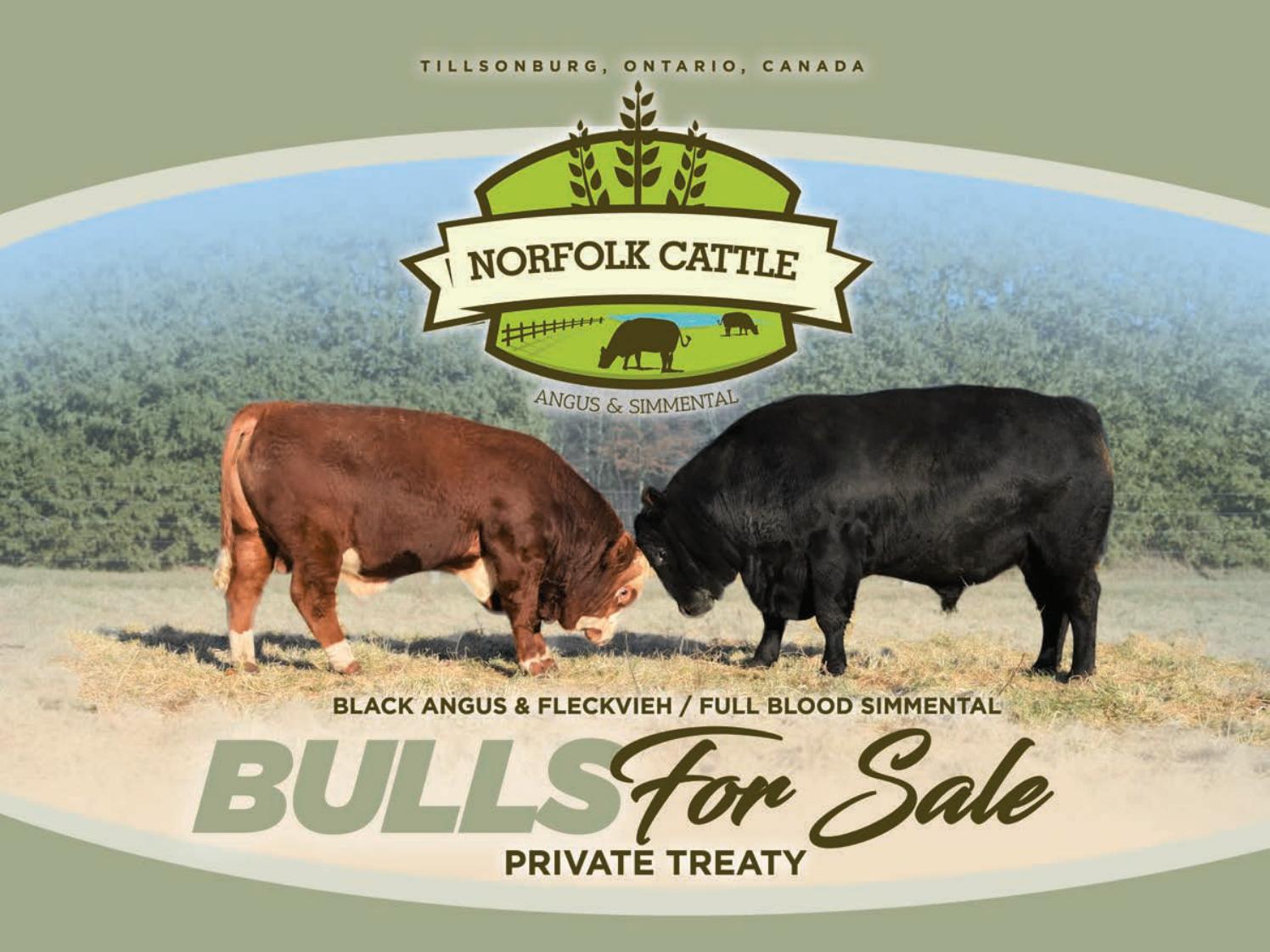 2019 Norfolk Cattle Sale Catalog by Ranch House Designs - Issuu