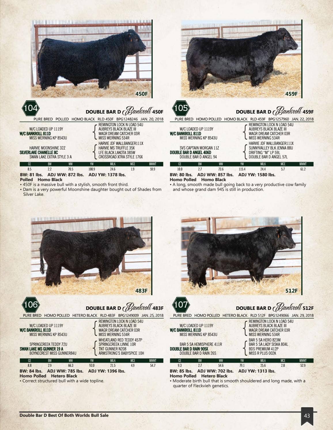 Double Bar D "Best of Both Worlds" Bull Sale 2019 by Today's Publishing ...