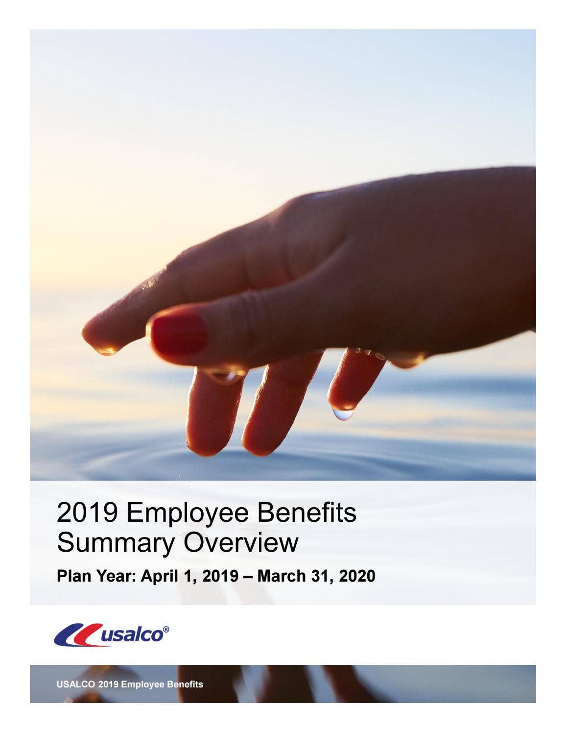 USALCO 2019 Benefits Guide by EONE - Issuu