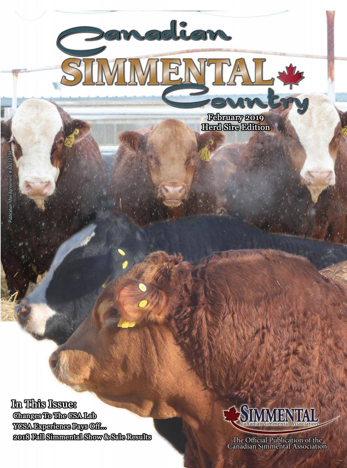 Canadian Simmental Country - February 2019 by Today's Publishing Inc ...