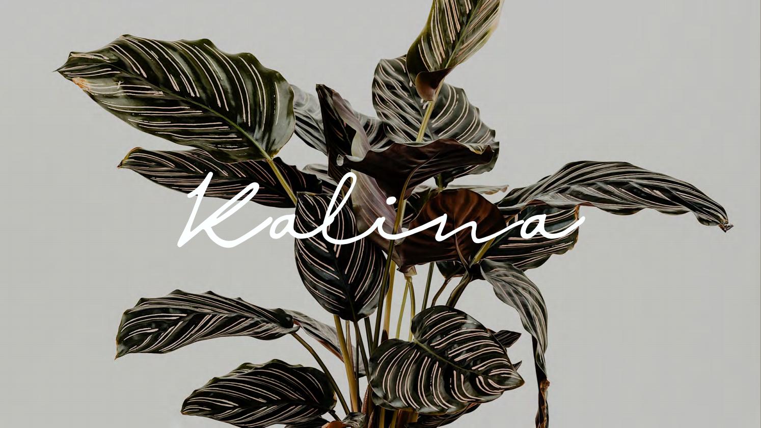 Kalina - Minimal Brand Guidelines by Dhika Supangestu - Issuu