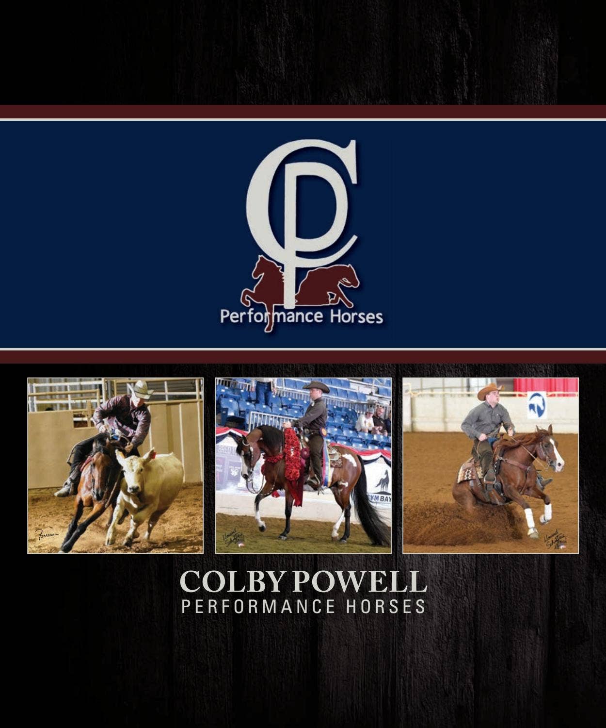 Colby Powell Performance Horses, 2019, published in Arabian Horse Times ...