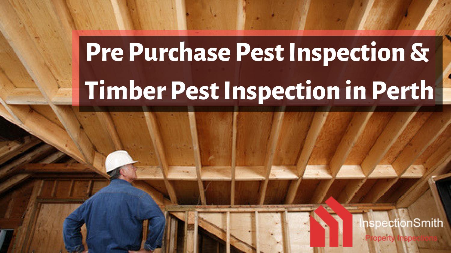 Pre Purchase Pest Inspection & Timber Pest Inspection in Perth by ...