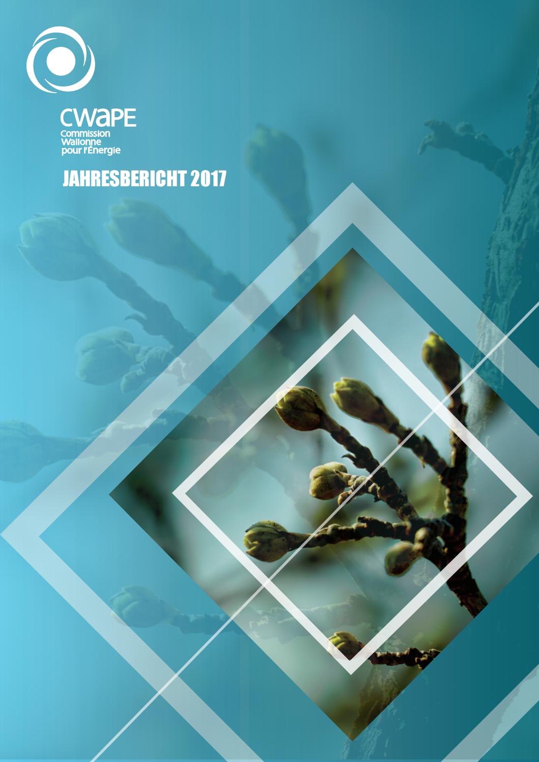 18g10-RAG 2017-version DE by CWaPE - Issuu