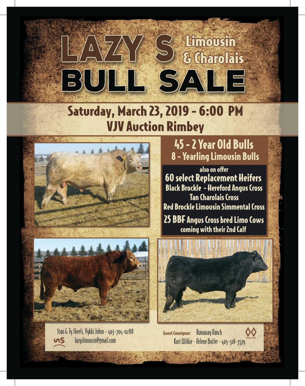 Lazy S Bull Sale 2019 by Charolais Banner - Issuu