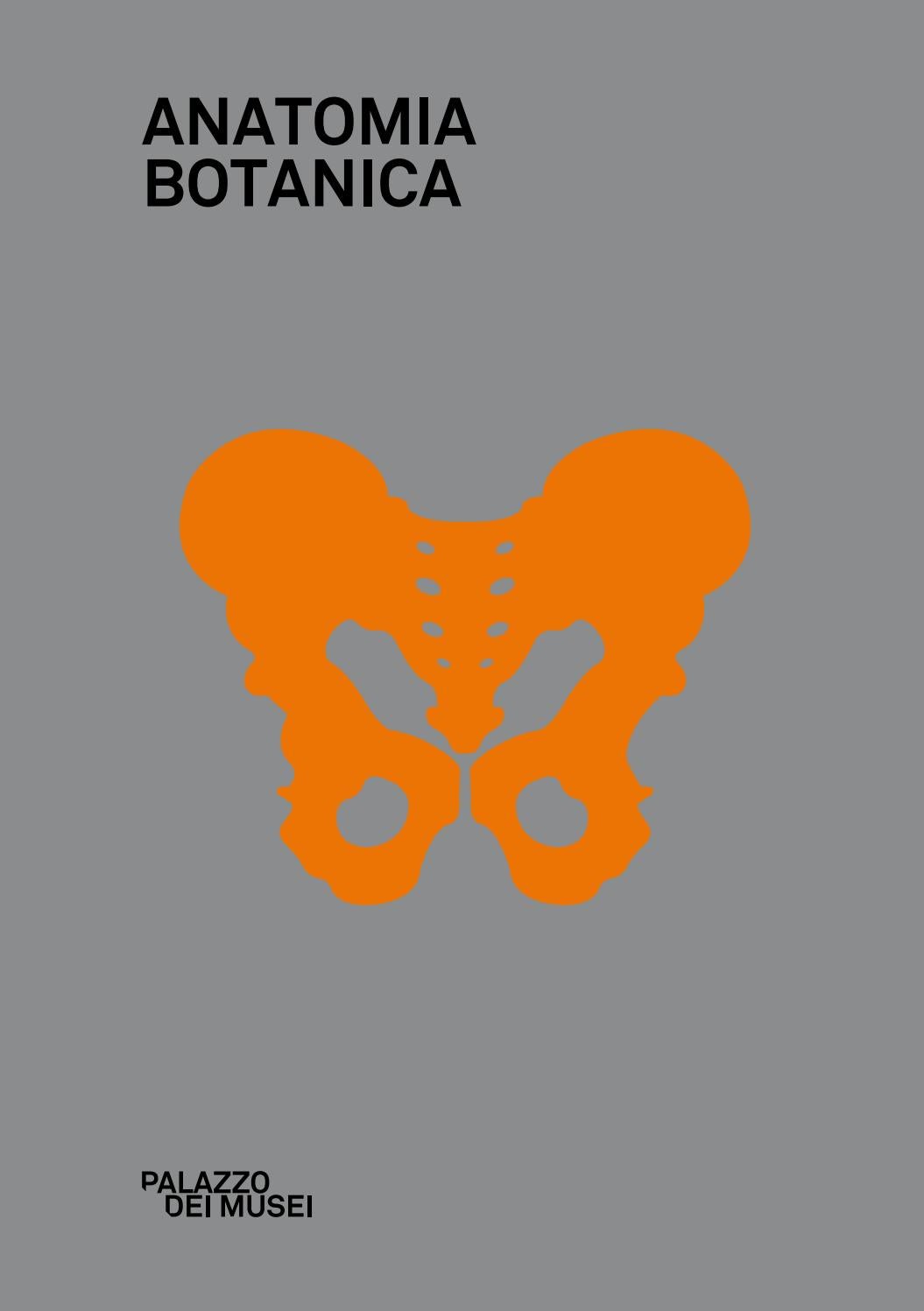 Didascalie leggere Anatomia Botanica by Musei Civici di Reggio Emilia ...