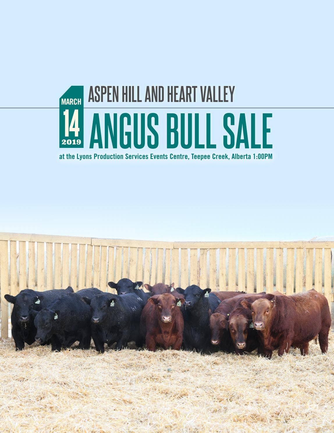 Aspen Hill & Heart Valley Angus 2019 Bull Sale by Catalogs by Top Stock ...