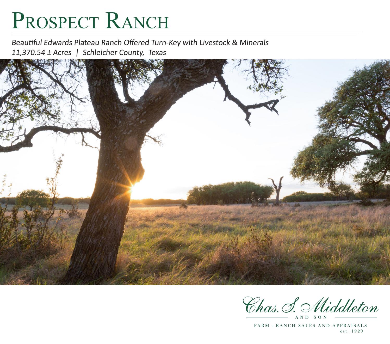 Prospect Ranch Brochure by csmandson - Issuu