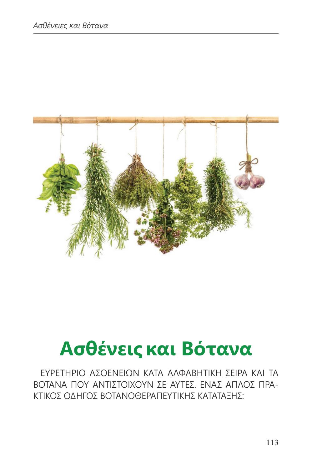 ΒΟΤΑΝΟΛΟΓΙΑ by Eleni - Issuu