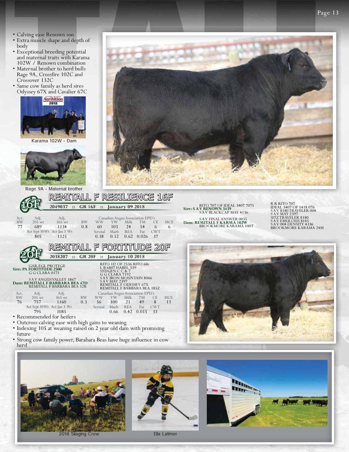 2019 Remitall Farms Bull & Select Female Sale by Canadian Angus ...