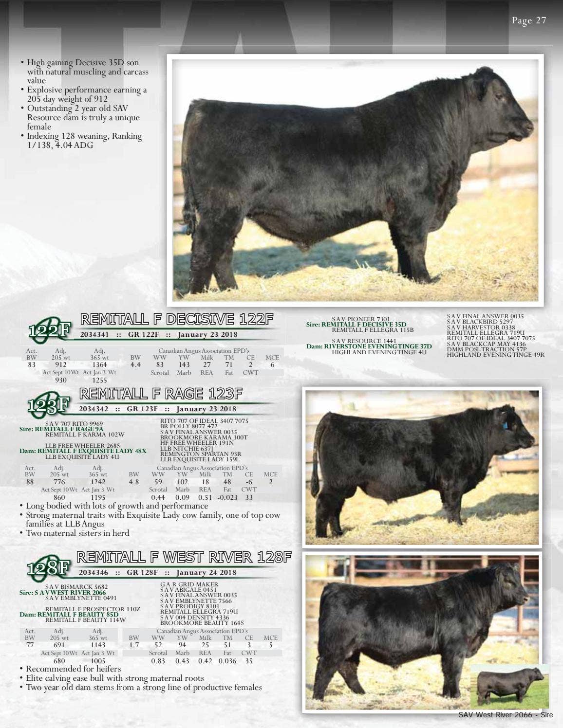 2019 Remitall Farms Bull & Select Female Sale by Canadian Angus ...