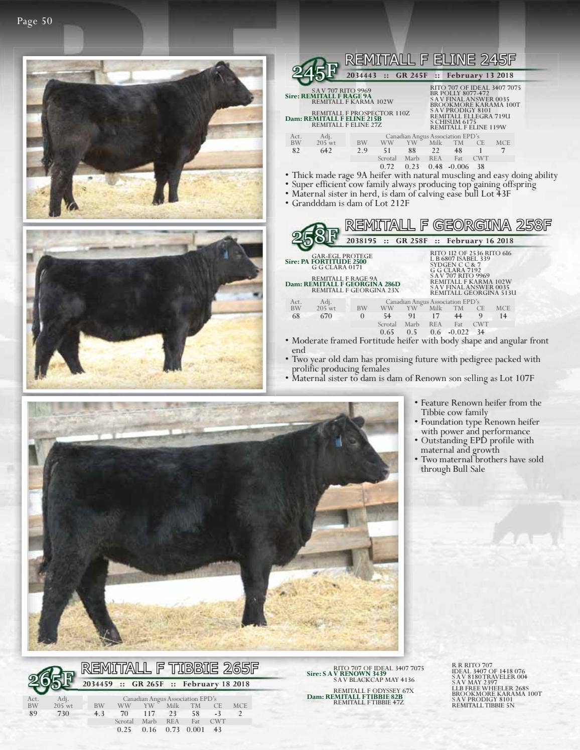 2019 Remitall Farms Bull & Select Female Sale by Canadian Angus ...