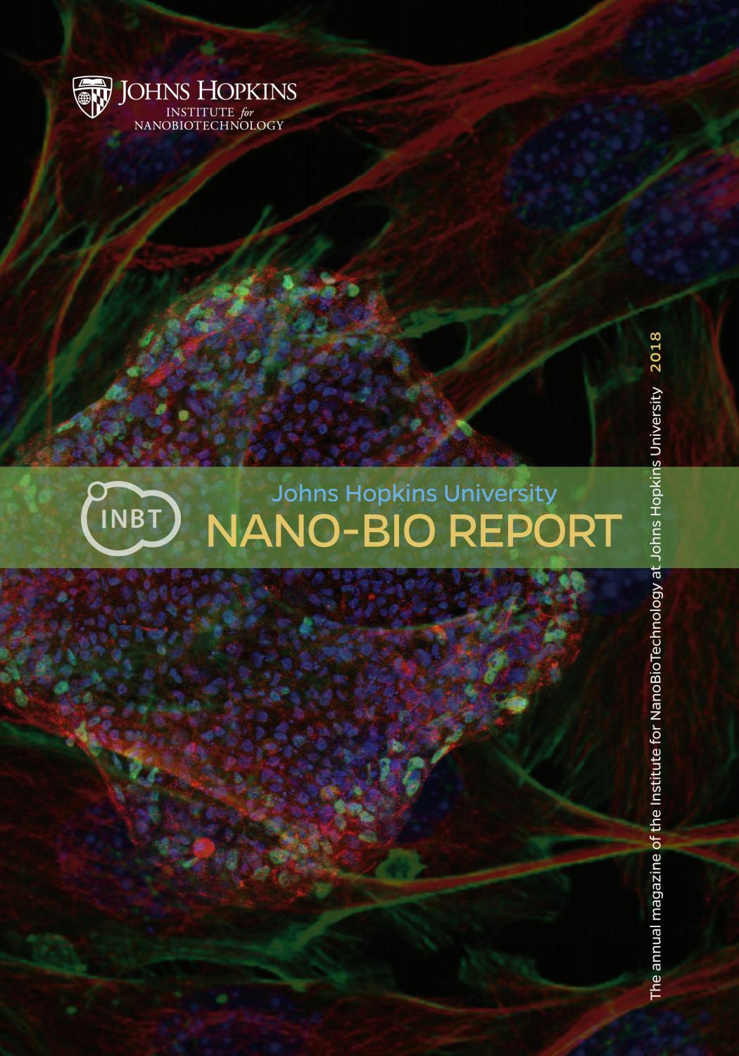 2018 Nano-Bio Report by Institute for NanoBioTechnology - Issuu