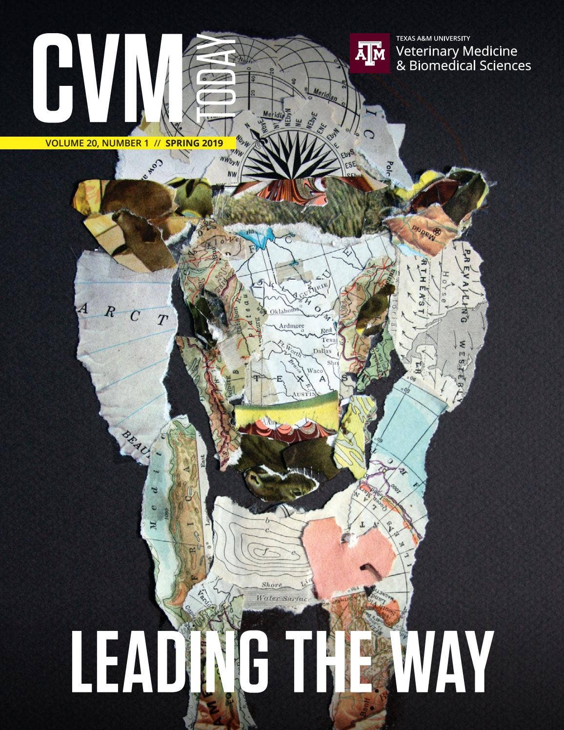 CVM Today Spring 2019 by Texas A&M School of Veterinary Medicine ...