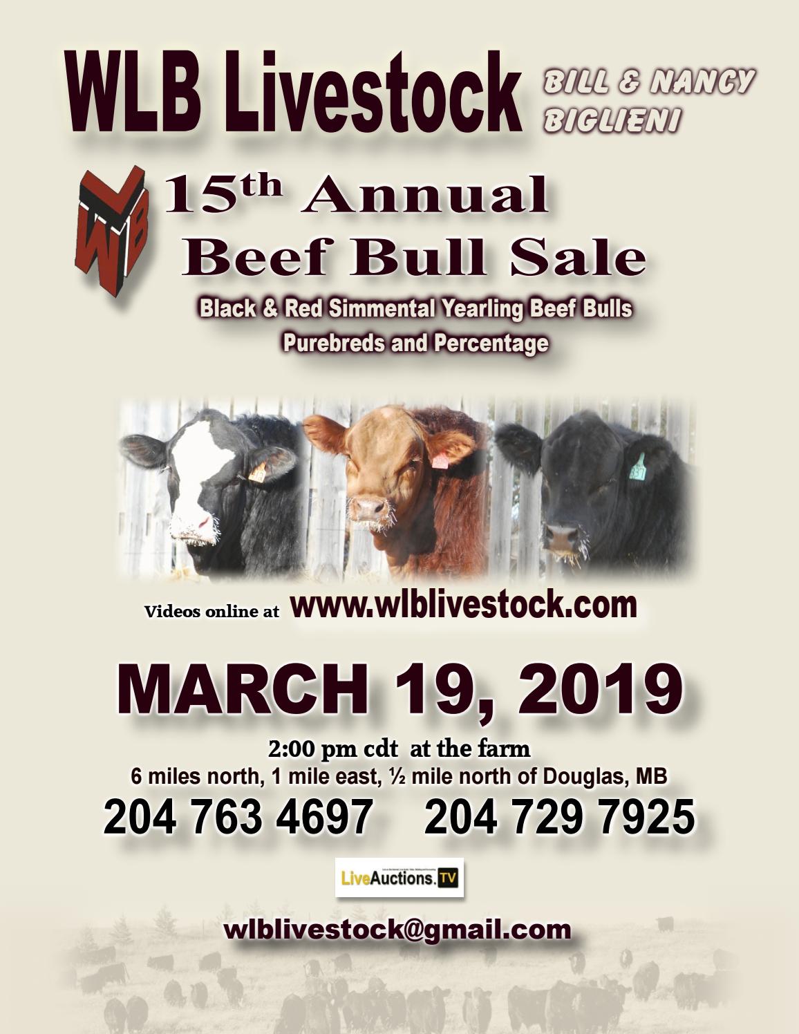 WLB 2019 Bull Sale Catalogue by Today's Publishing Inc. - Issuu