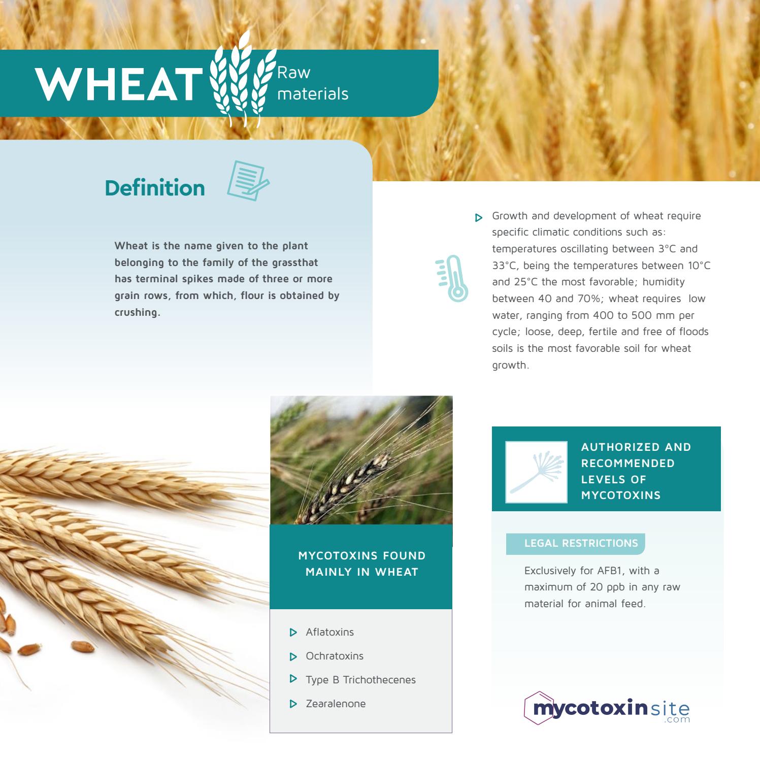 Wheat: Mycotoxins in Raw materials by agriNews - Issuu