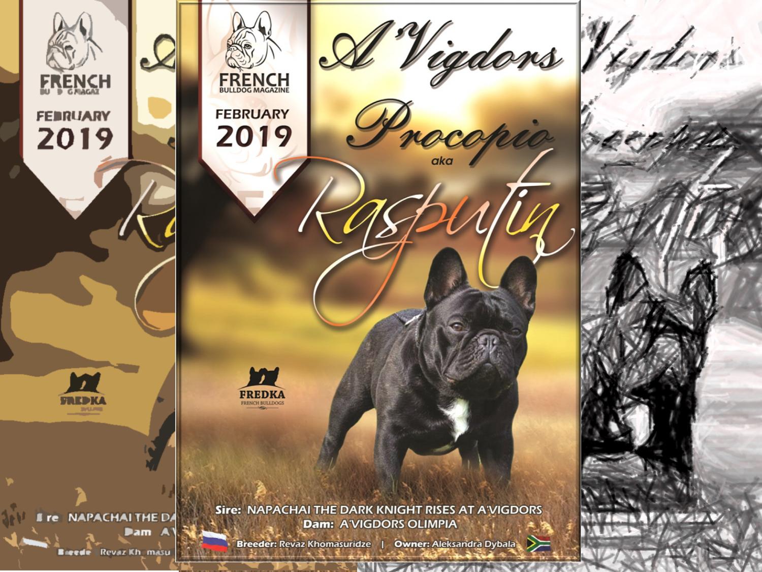 French Bulldog Magazine February 2019 by Theo Koekemoer - Issuu