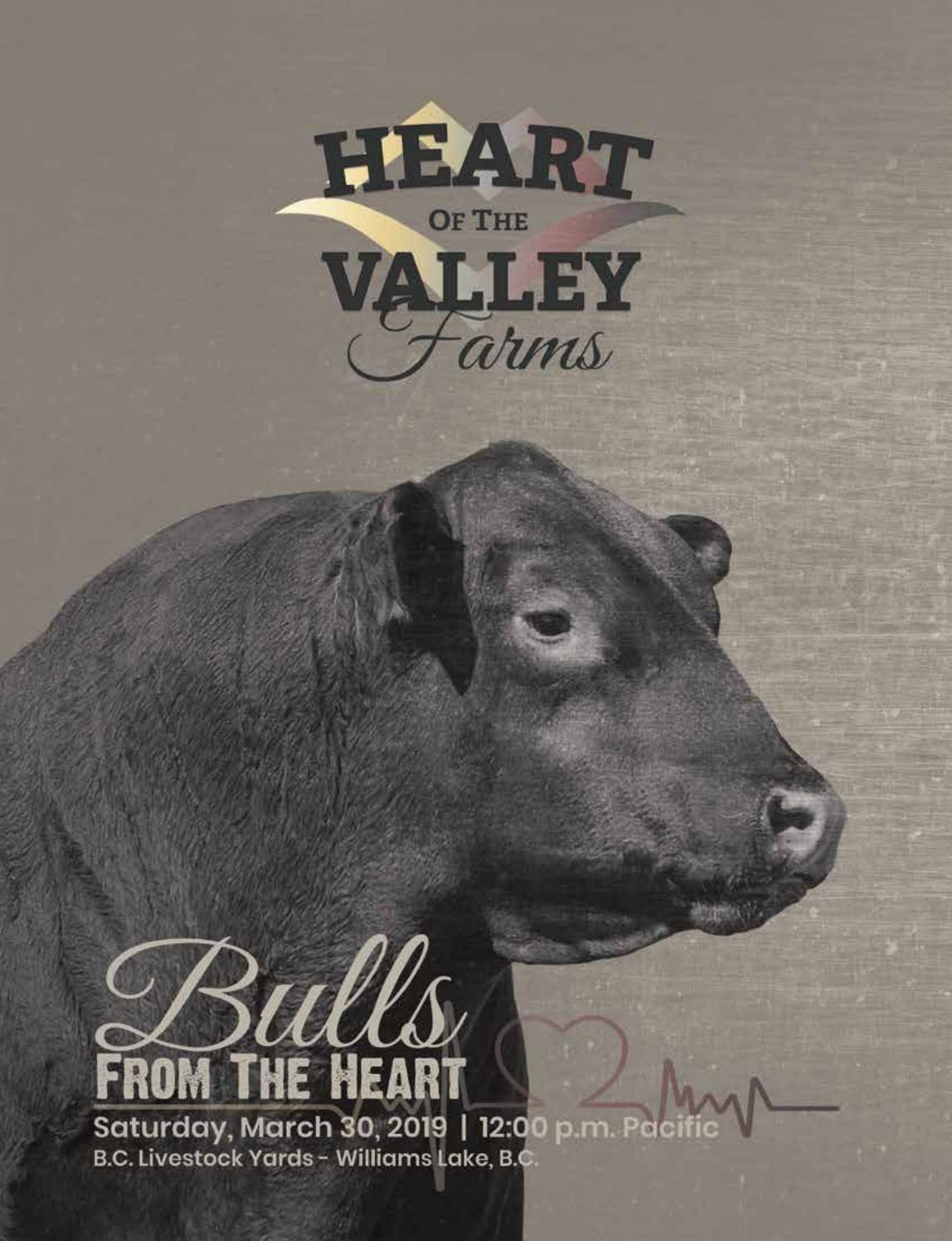 Bulls from the Heart Annual Bull Sale -Heart of the Valley Farms by ...