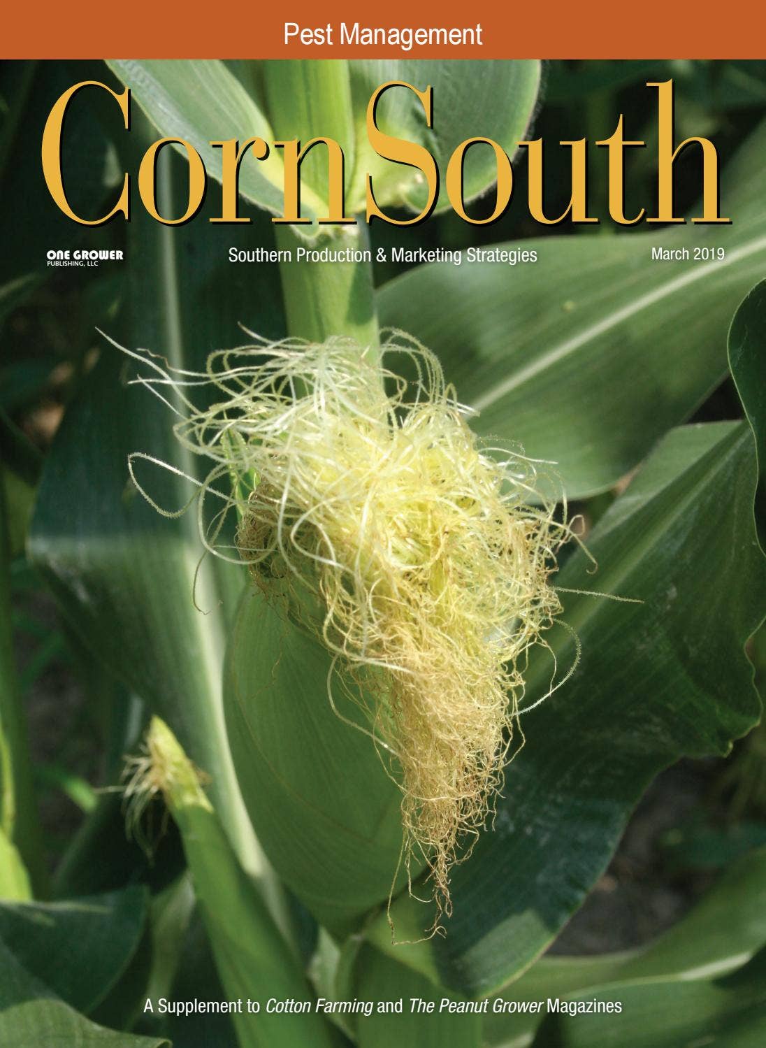 Corn South March 2019 by One Grower Publishing - Issuu