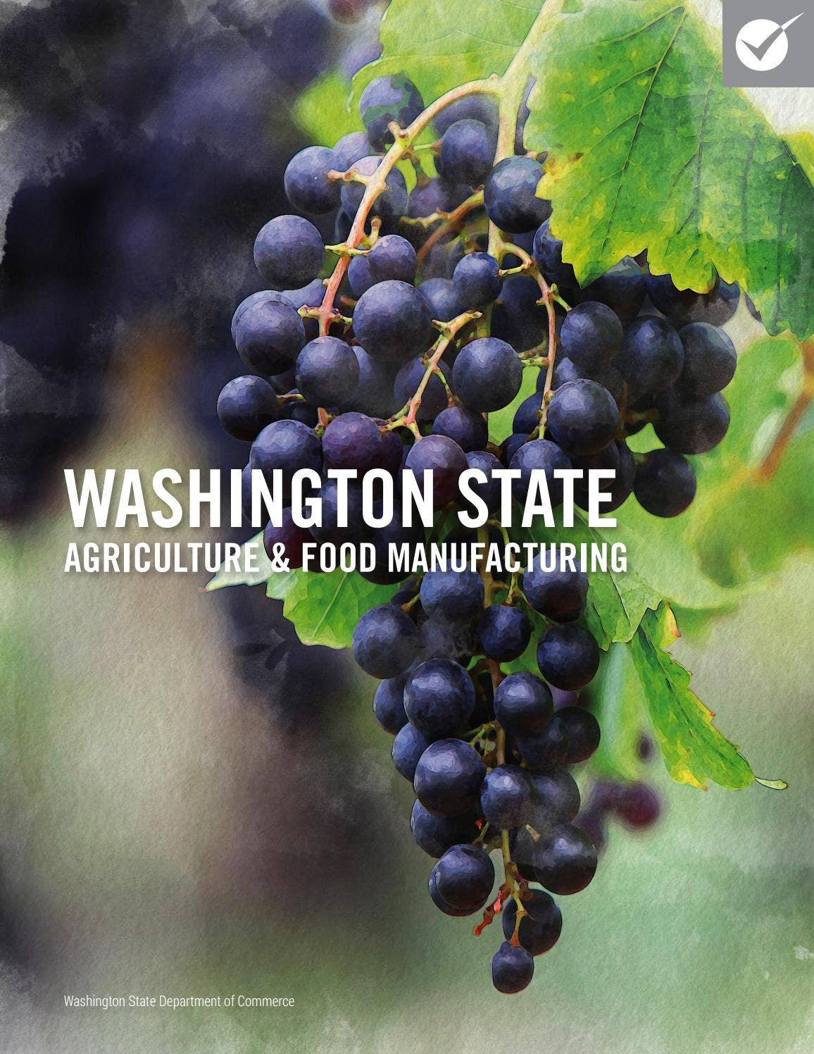 Washington State Agriculture & Food Manufacturing by choosewa - Issuu