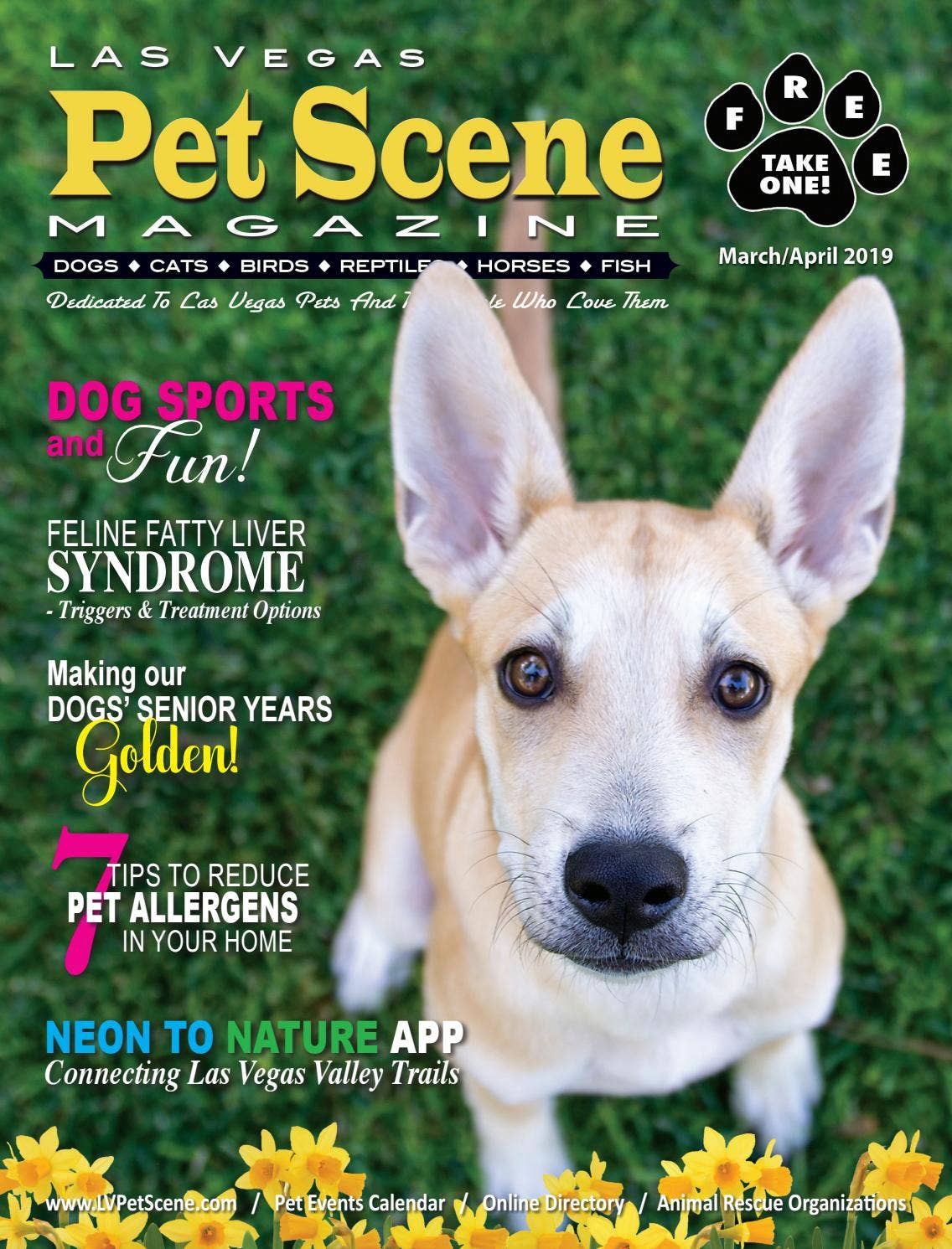 Las Vegas Pet Scene Magazine, March/April 2019 by Homes Illustrated/LV ...
